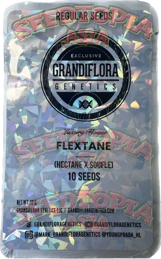 Flextane - Grandiflora Genetics » SeedTopia Cannabis Seeds Shop in Thailand