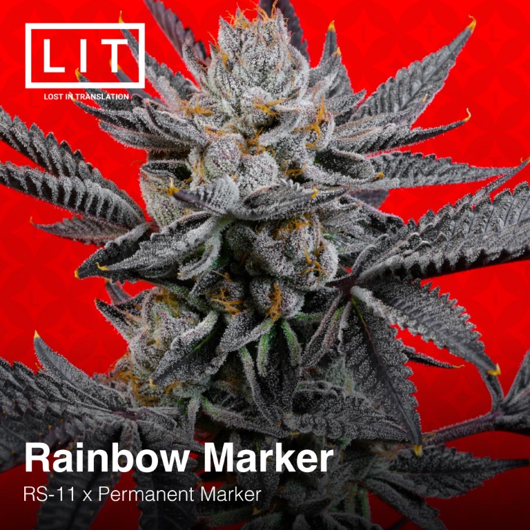 Rainbow Marker - LIT Farms » SeedTopia Cannabis Seeds Shop in Thailand