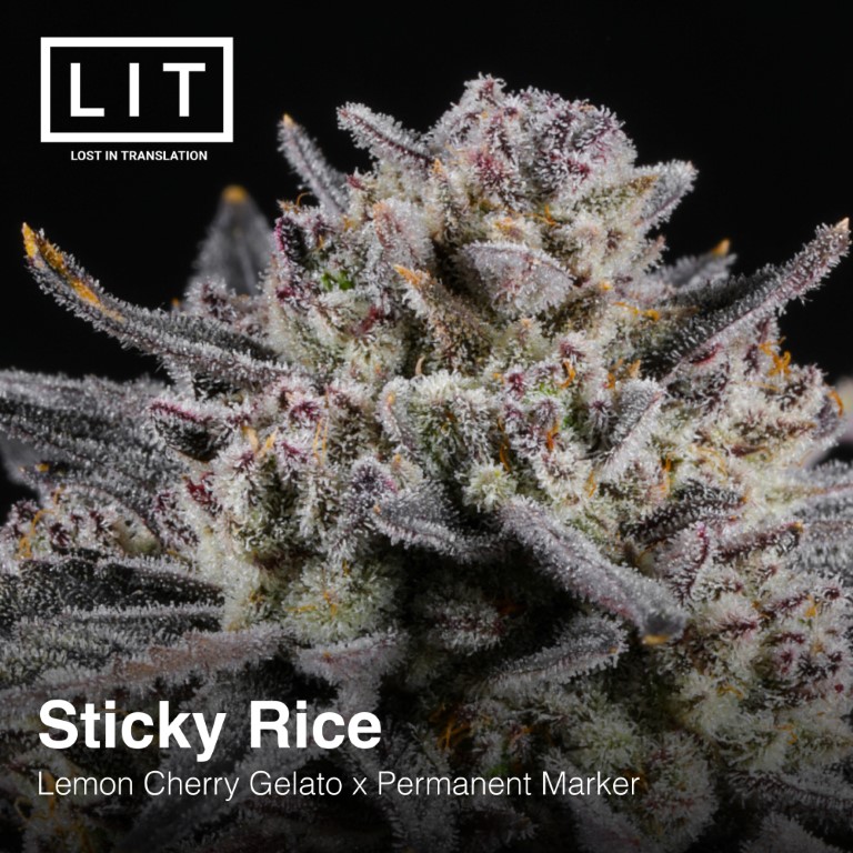 Sticky Rice – LIT Farms » SeedTopia Cannabis Seeds Shop in Thailand